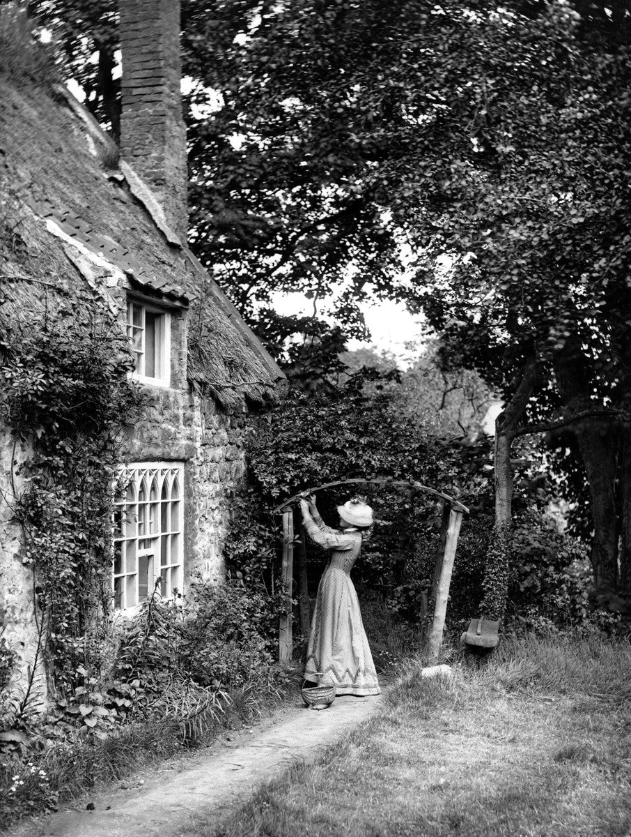 Cottage garden – My Store