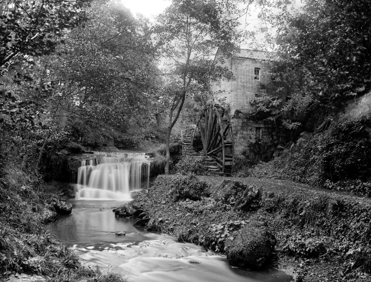 Rigg Mill – My Store